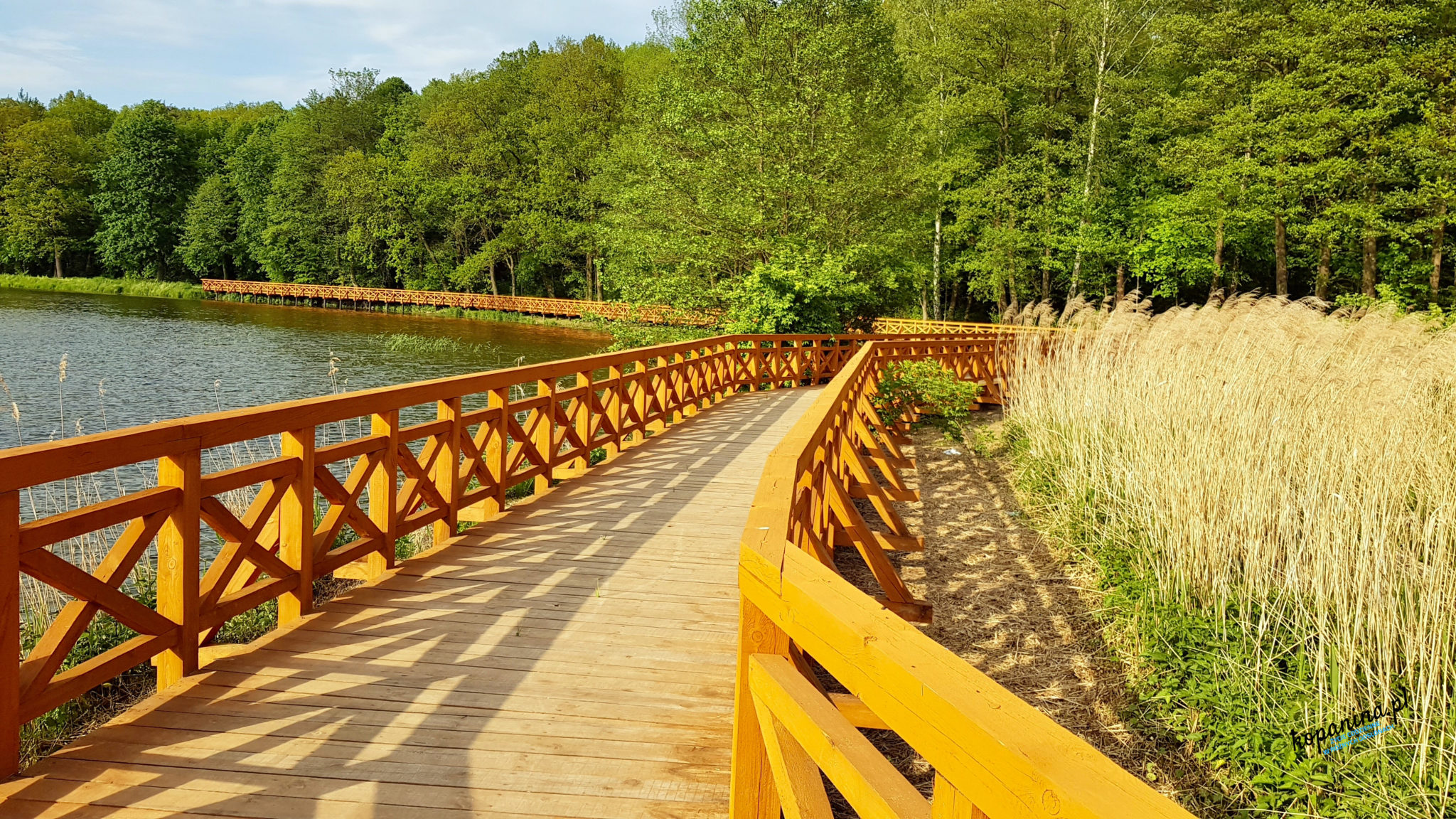 - Arboretum w Rogowie, kolej wąskotorowa Rogów–Rawa–Biała i jeszcze ...